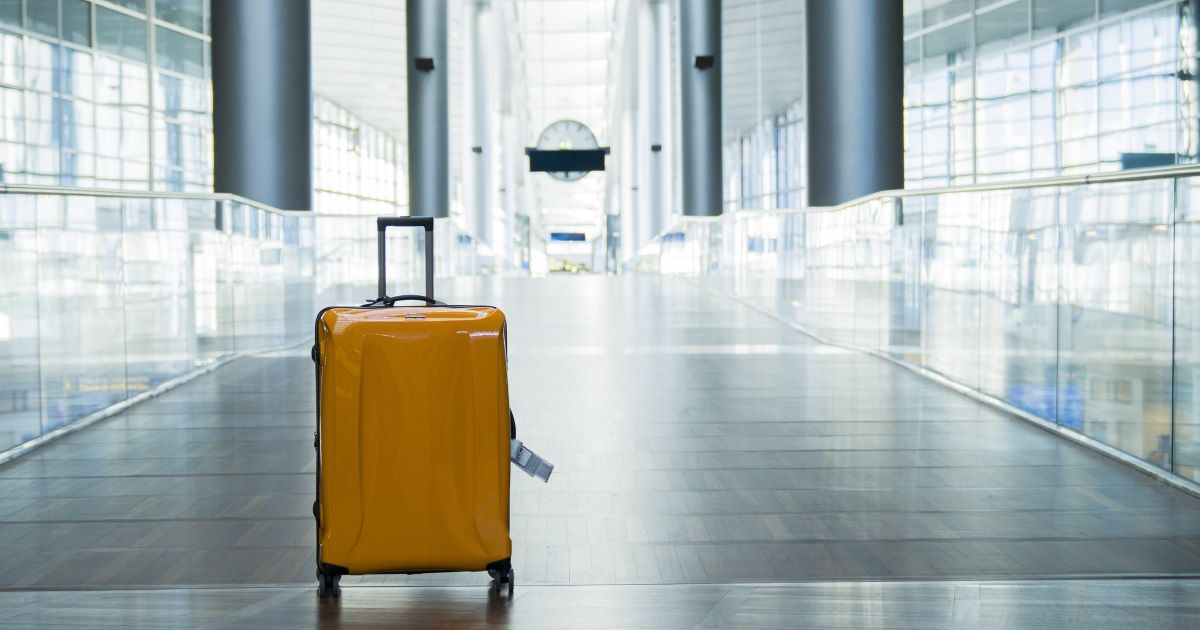 SCTI has all time high domestic policies in 2022 | SCTI AU