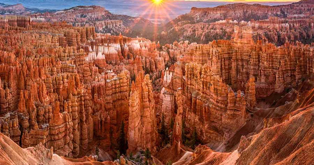 Risks And Dangers In The USA | SCTI AU